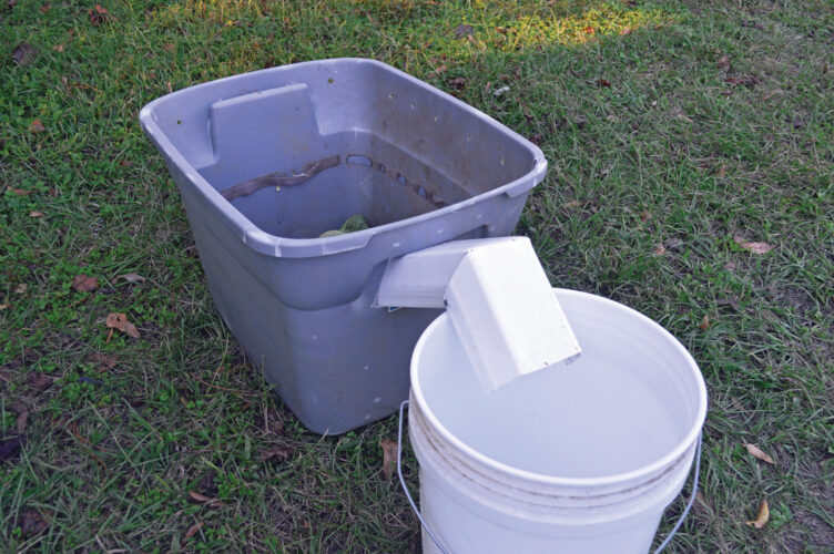 How to Build a Black Soldier Fly Compost Bin - Grit